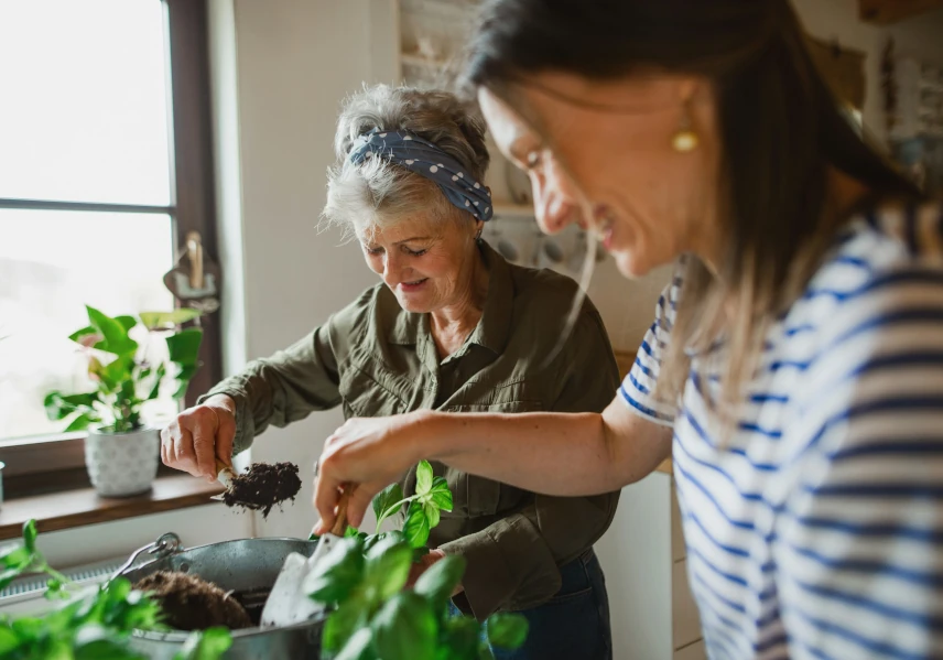 The Cycle of Life has shifted - act now for good health - Agenius